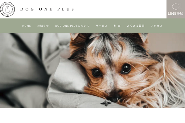 室内ドッグラン｜DOG ONE PLUS｜代官山のペットホテル[ドッグワンプラス]