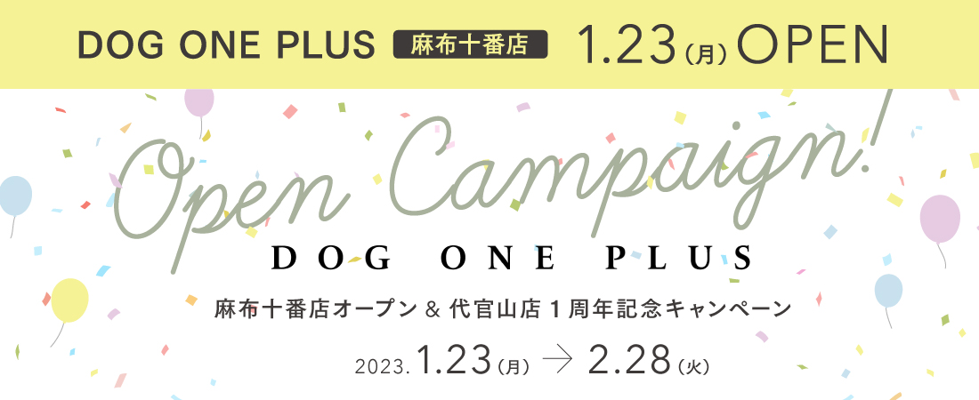 代官山・麻布十番のペットホテル │ DOG ONE PLUS[ドッグワンプラス] | 大切な家族を安心して預けられる代官山と麻布十番のペット ...