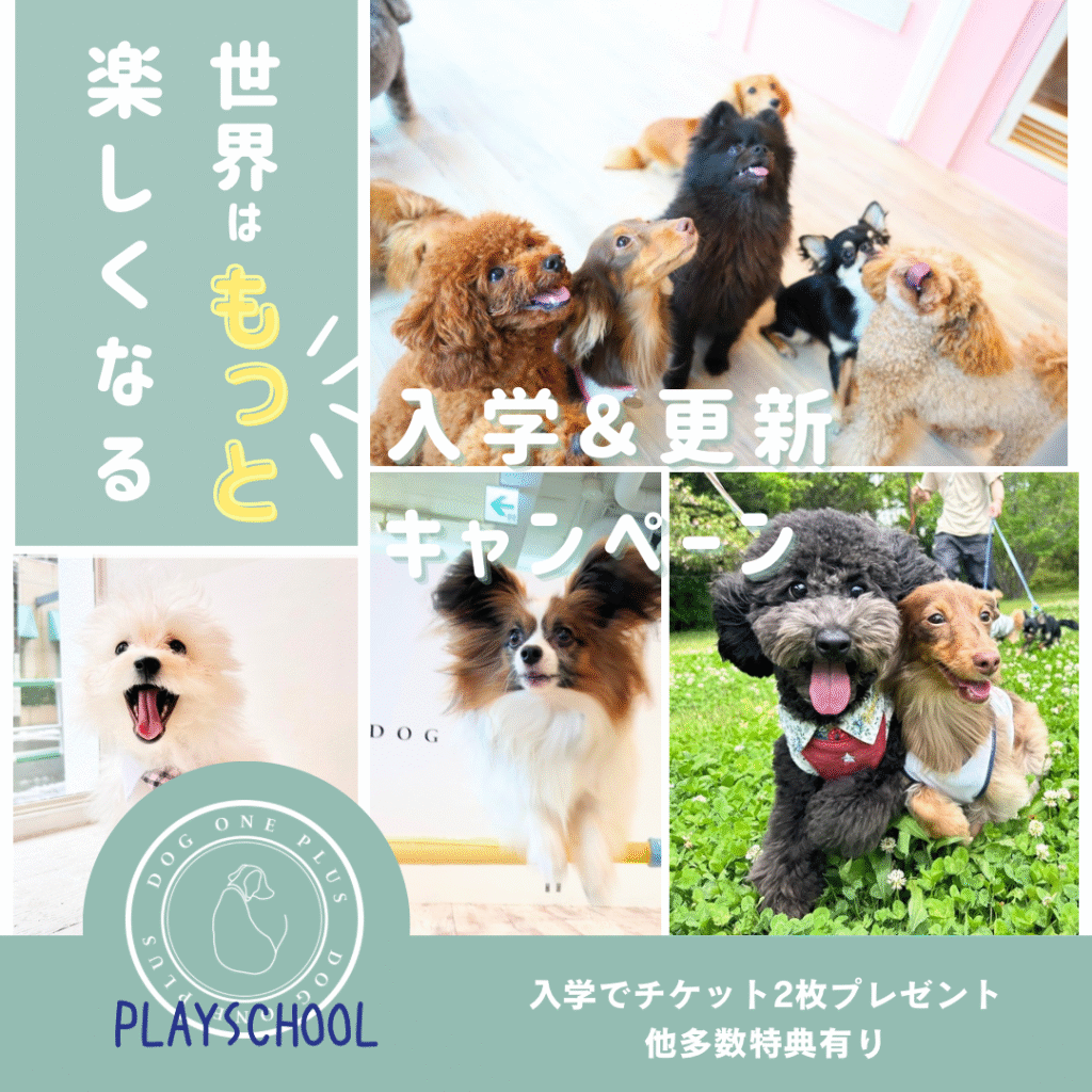気持ちに寄り添うペットサロン | DOG ONE PLUS[ドッグワンプラス]