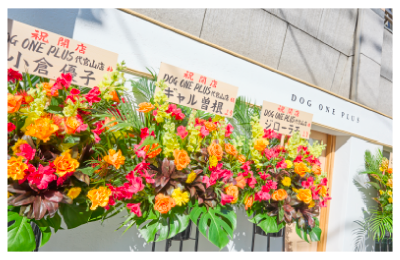 DOG ONE PLUS 代官山店 | 人にも動物にも優しいペットサロン